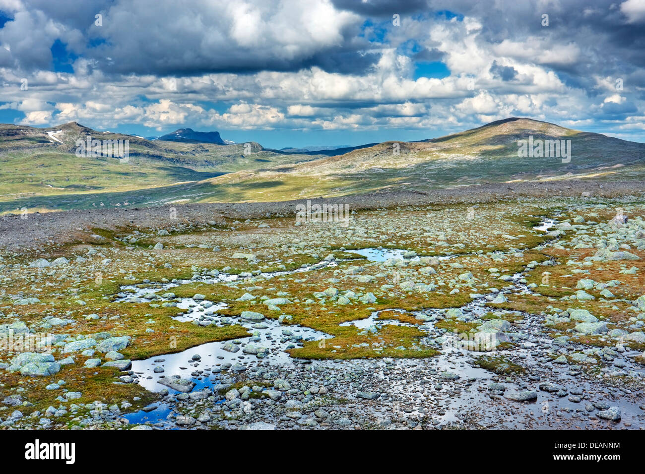 Steindalen valley, Saltfjellet-Svartisen National Park, Nordland county ...