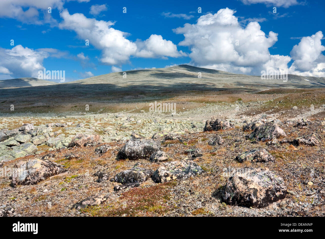 Steindalen valley, Saltfjellet-Svartisen National Park, Nordland county ...