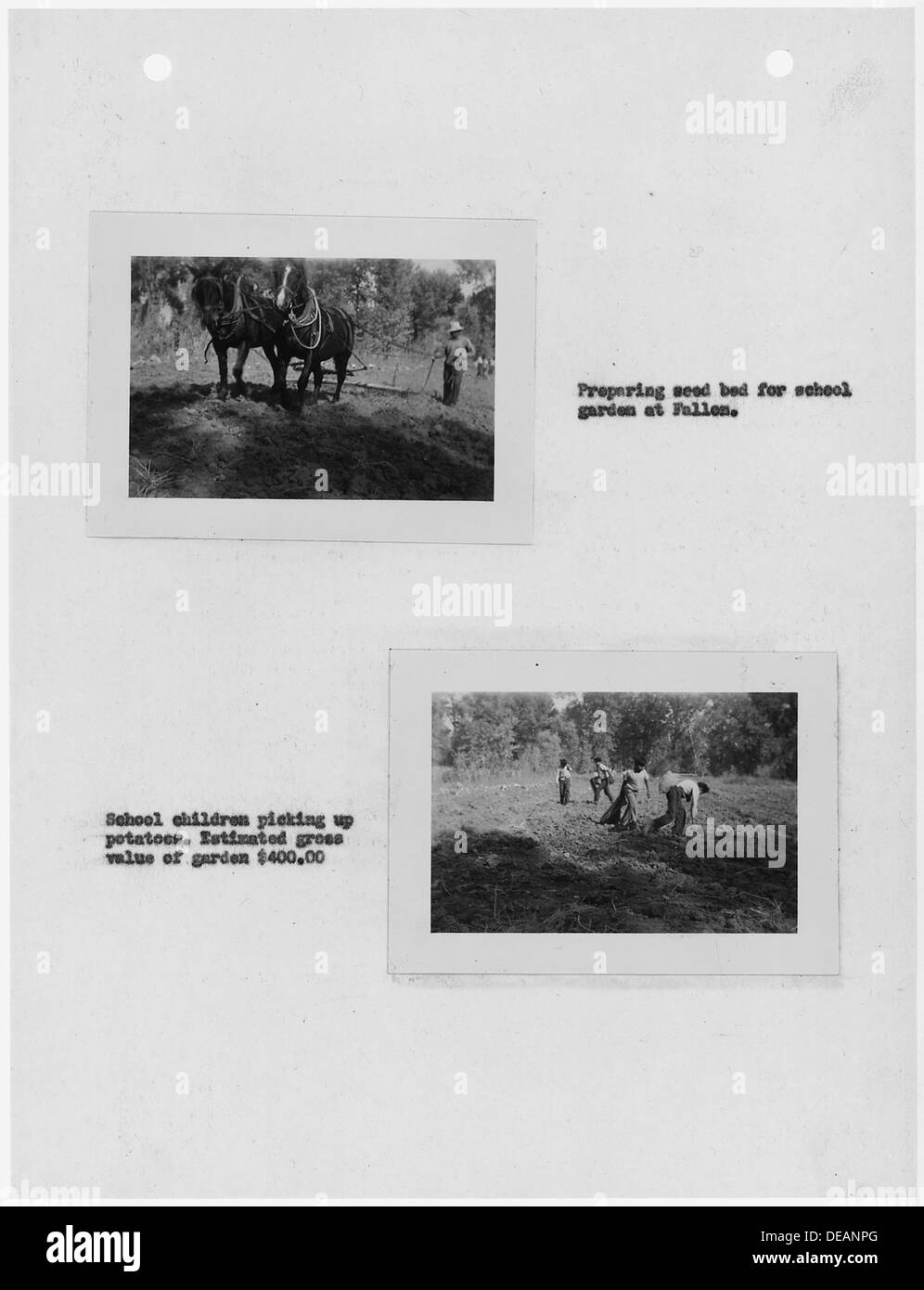 Environmental school students Black and White Stock Photos & Images - Alamy