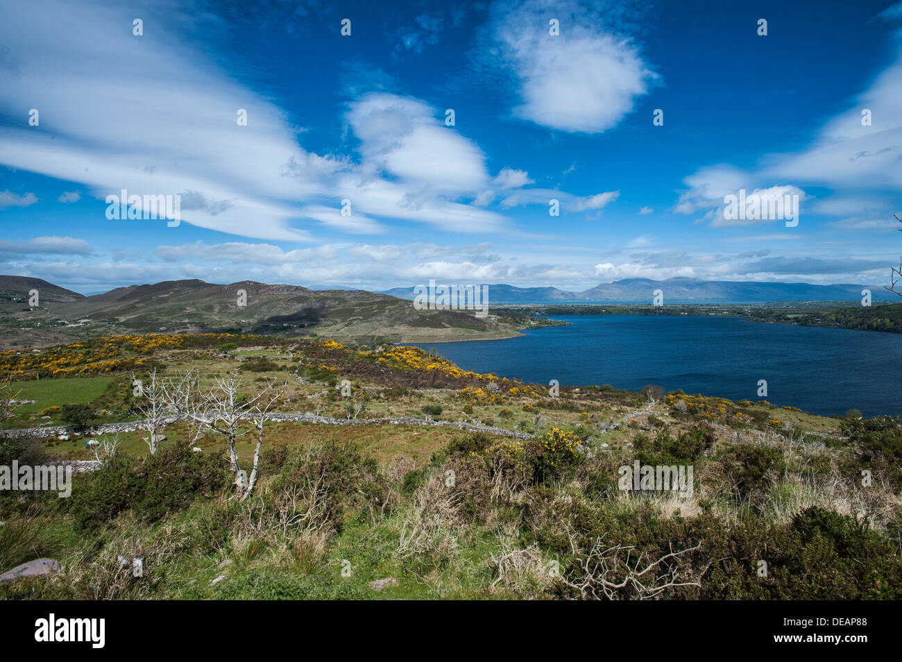 Caragh hi-res stock photography and images - Alamy