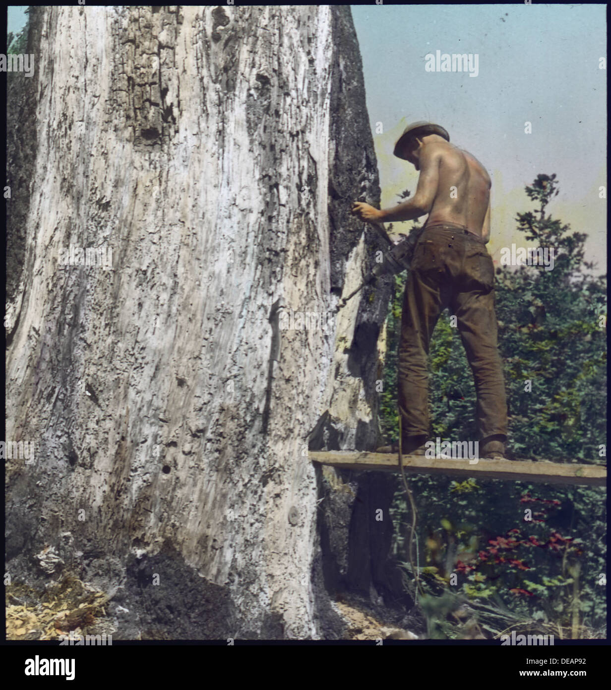 A Civilian Conservation Corps (CCC) worker is pictured standing on a ...