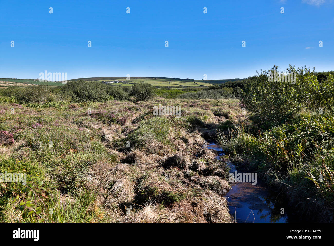 Penwith hi-res stock photography and images - Alamy