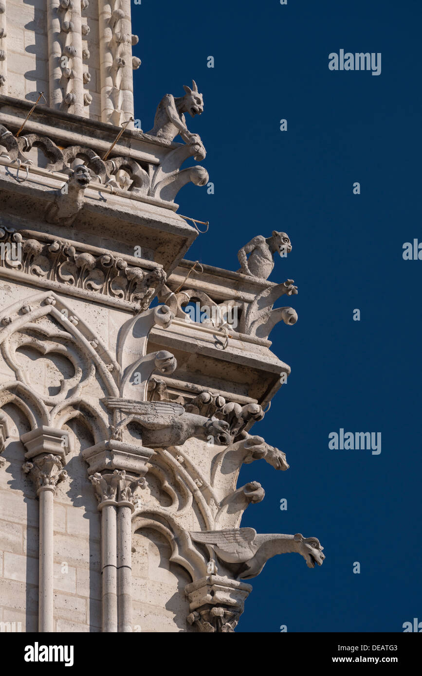 Gargoyles and chimera on the Gothic cathedral, Notre Dame, in Paris ...