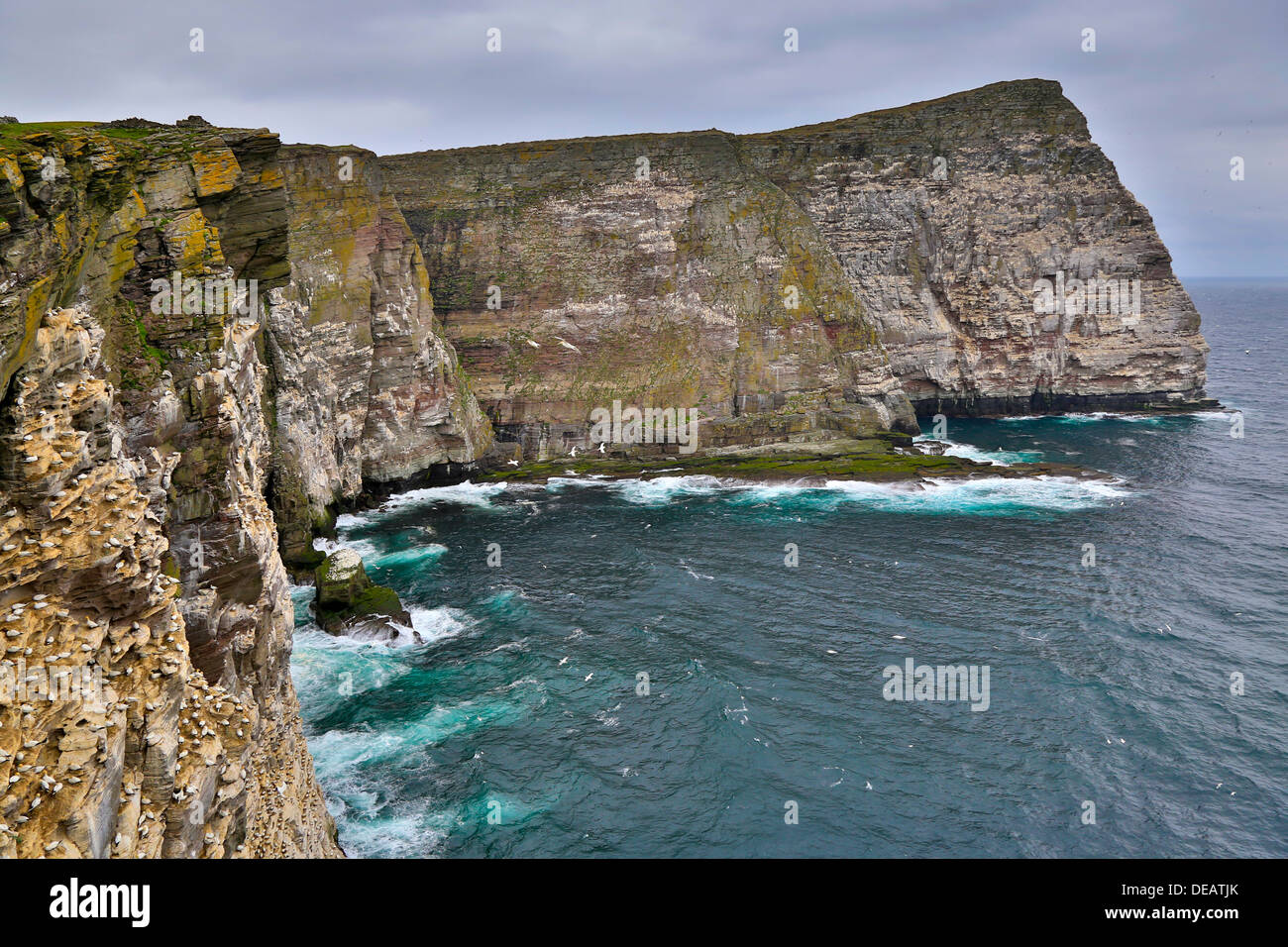 Noss hi-res stock photography and images - Alamy