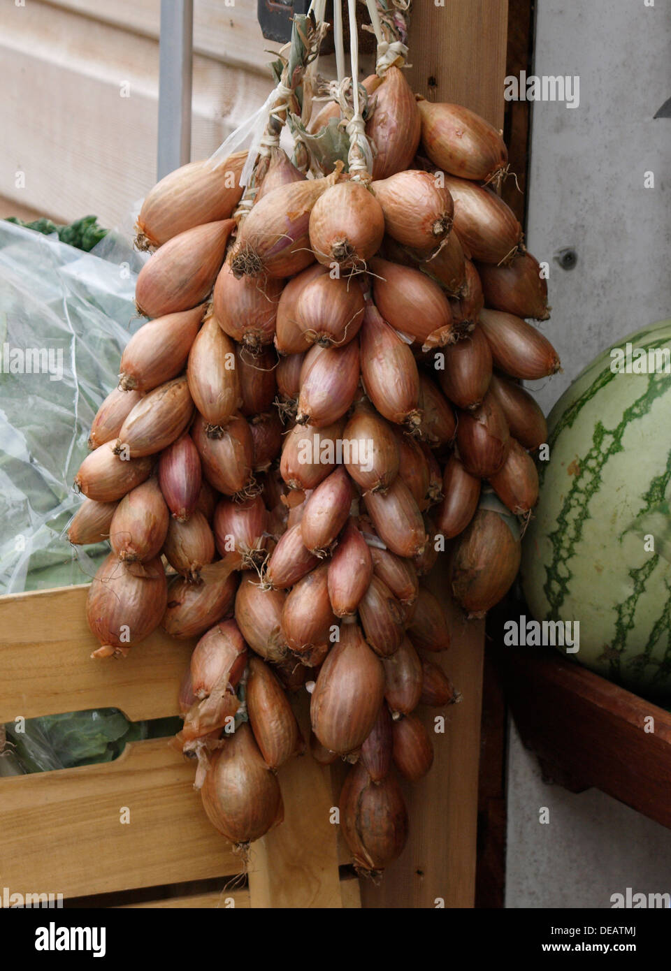 String of onions hanging outside a fruit and veg shop, Looe, Cornwall ...