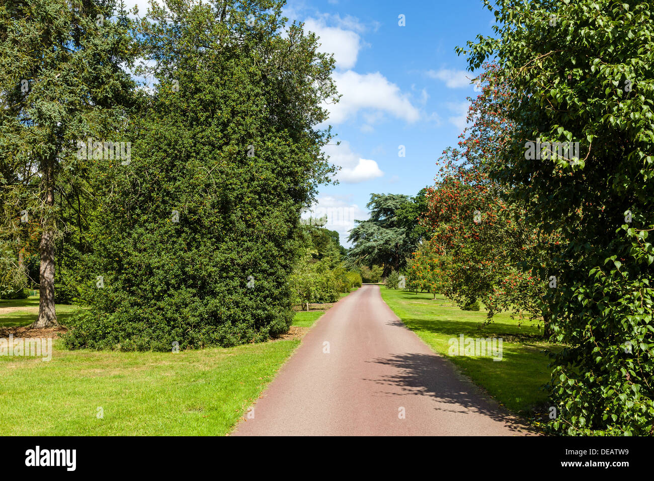 Summer garden shade of tree hi-res stock photography and images - Alamy