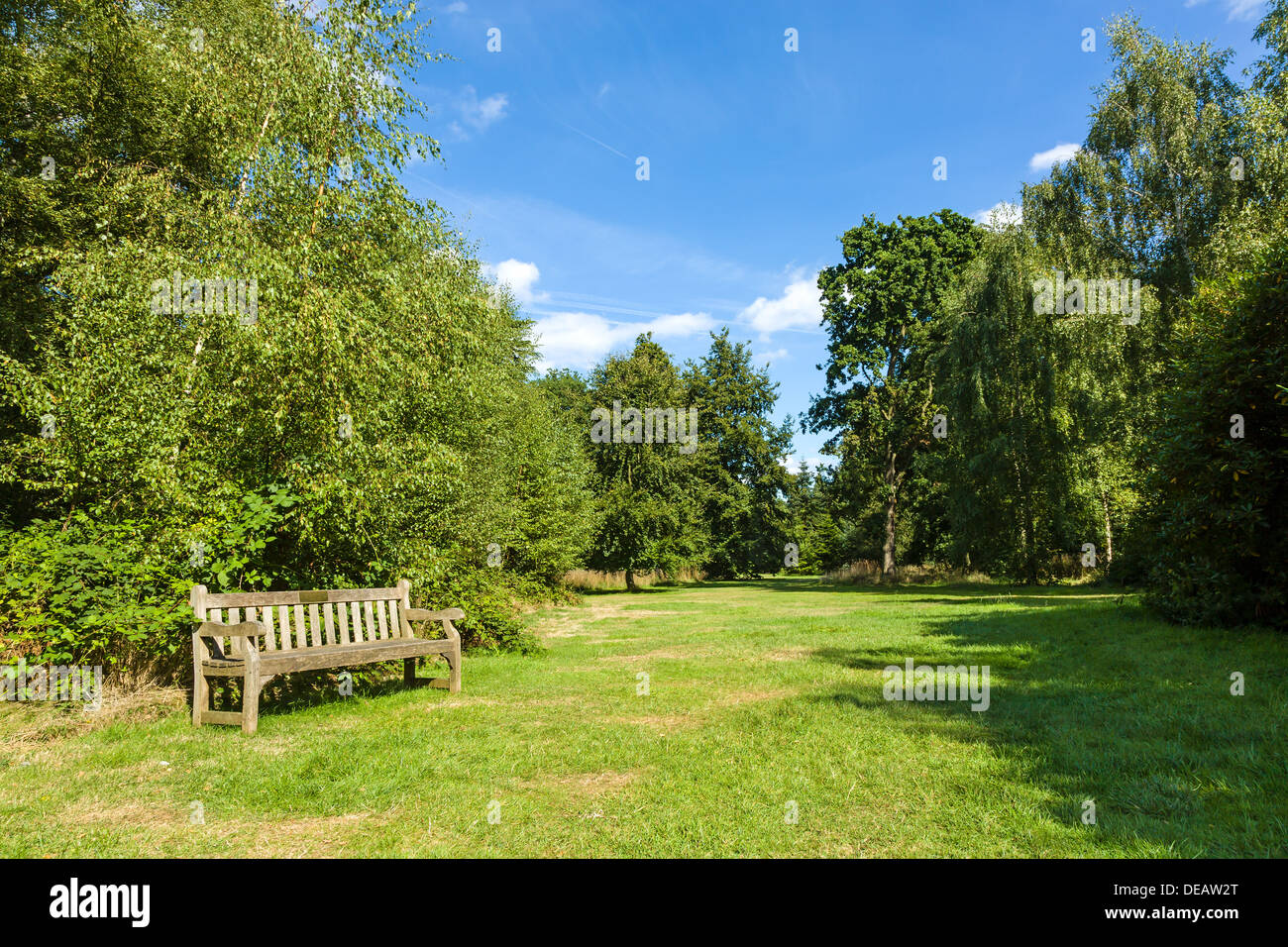 Park Bench in Beautiful Sunny and Shady Lush Green Garden Stock Photo ...