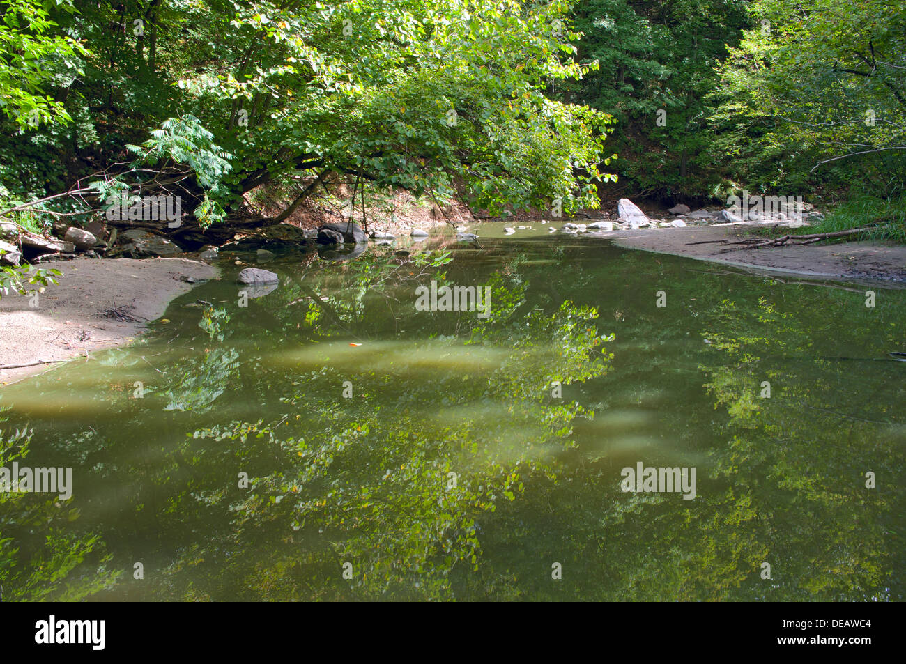 Minneopa Creek and forest in Minneopa State Park near Mankato Minnesota ...