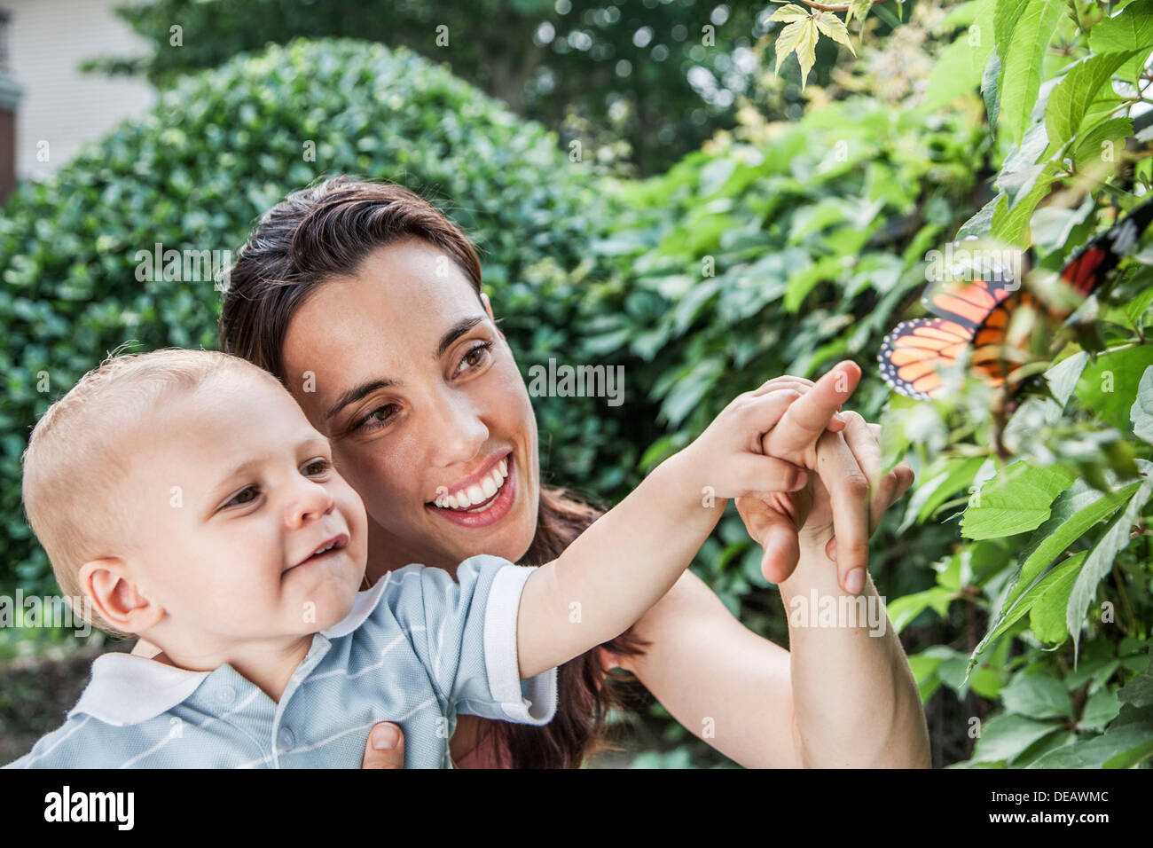 Child pointing at butterfly hi-res stock photography and images - Alamy