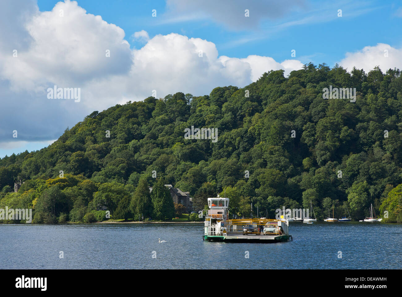The Windermere Ferry, Mallard, approaching Ferry Nab, Lake District ...