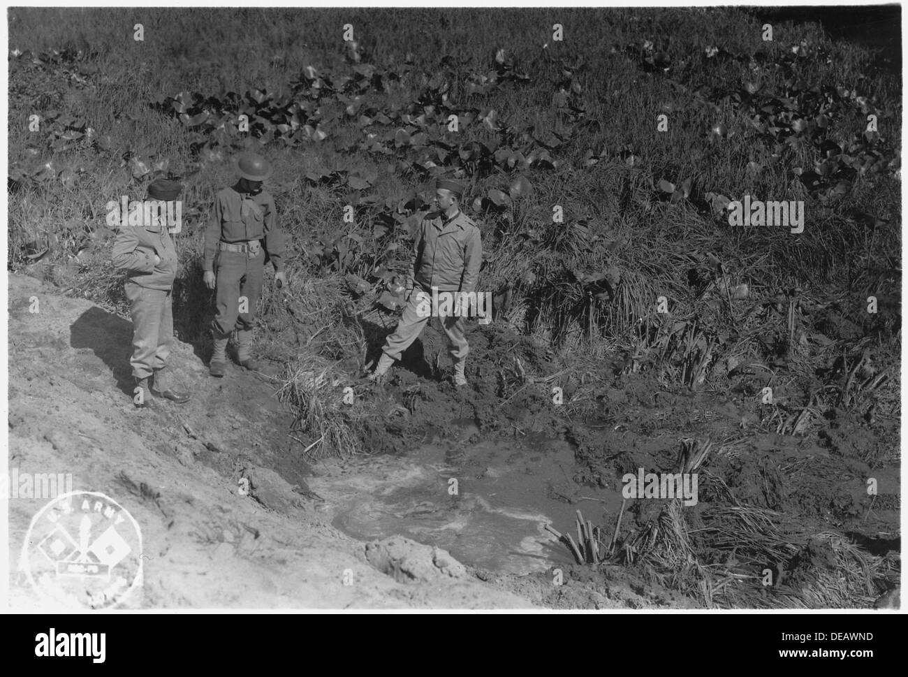 Shell crater hi-res stock photography and images - Alamy