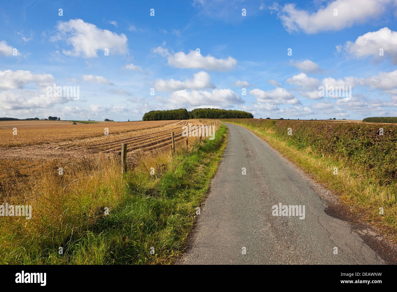 A small rural road through the agricultural landscape of fields and ...