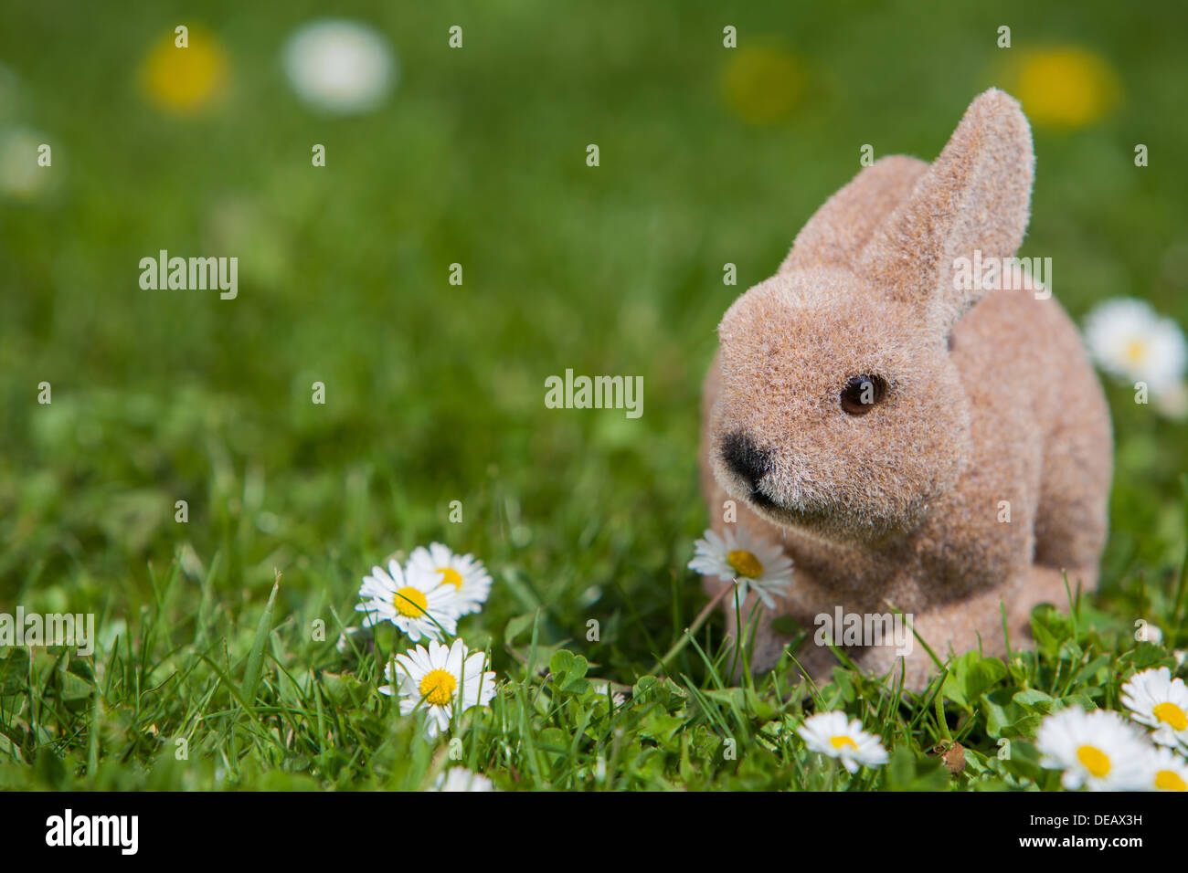 Baby Easter bunny in the grass Stock Photo - Alamy