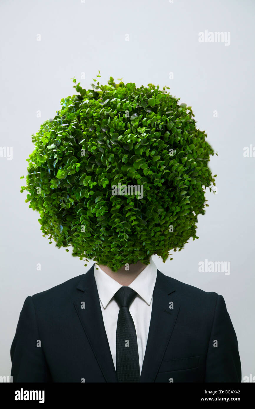 Businessman with a circular bush obscuring his face, studio shot Stock ...