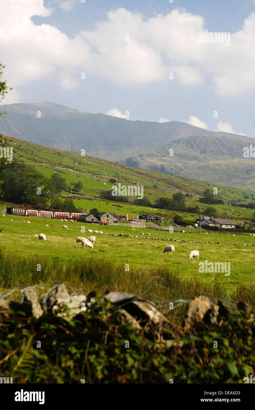 Welsh fields hi-res stock photography and images - Alamy