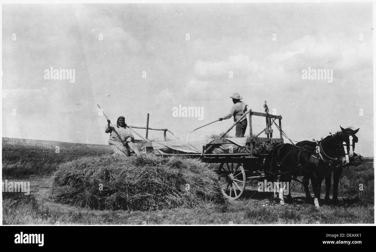 Traditional native american food gathering hi-res stock photography and ...