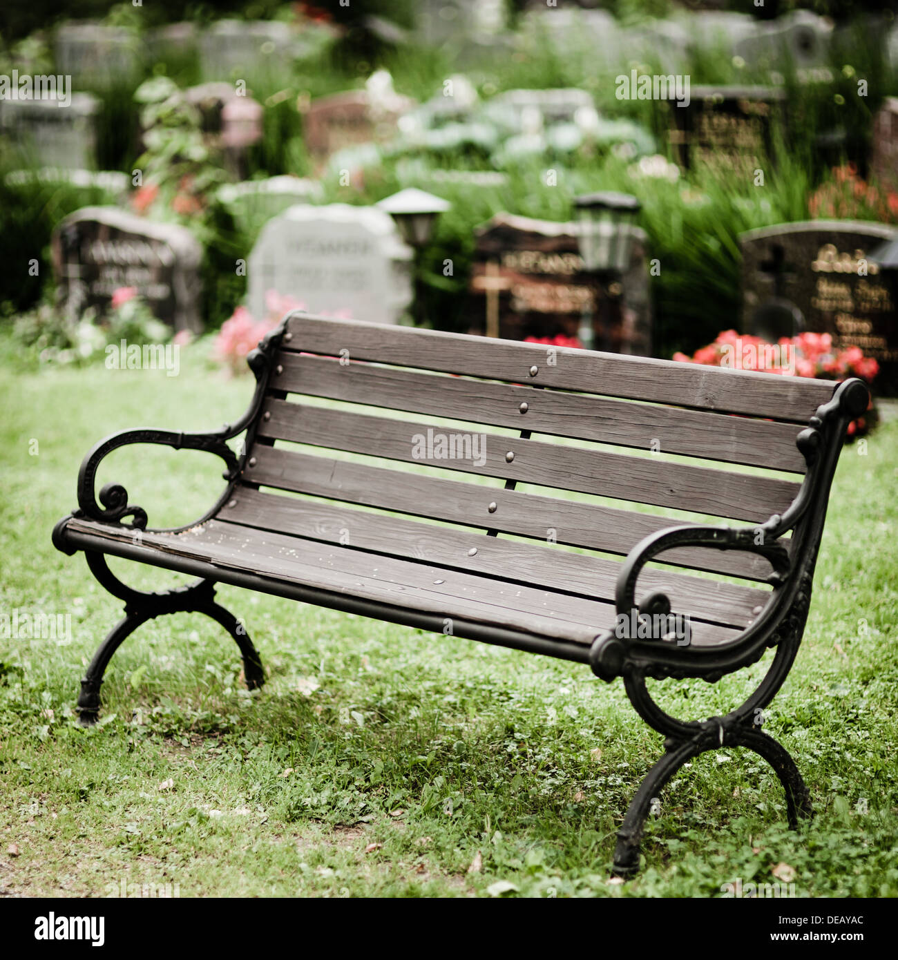 Memorial bench and cemetery hi-res stock photography and images - Alamy