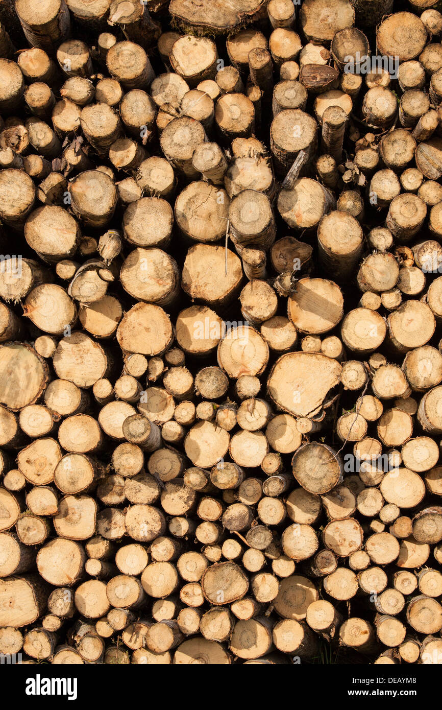 Pile of chopped wood Stock Photo - Alamy