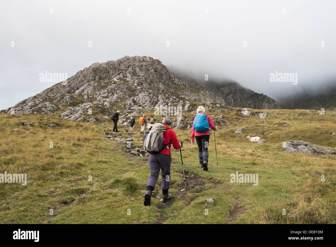 Carnedd pen yr ole wen hi-res stock photography and images - Alamy