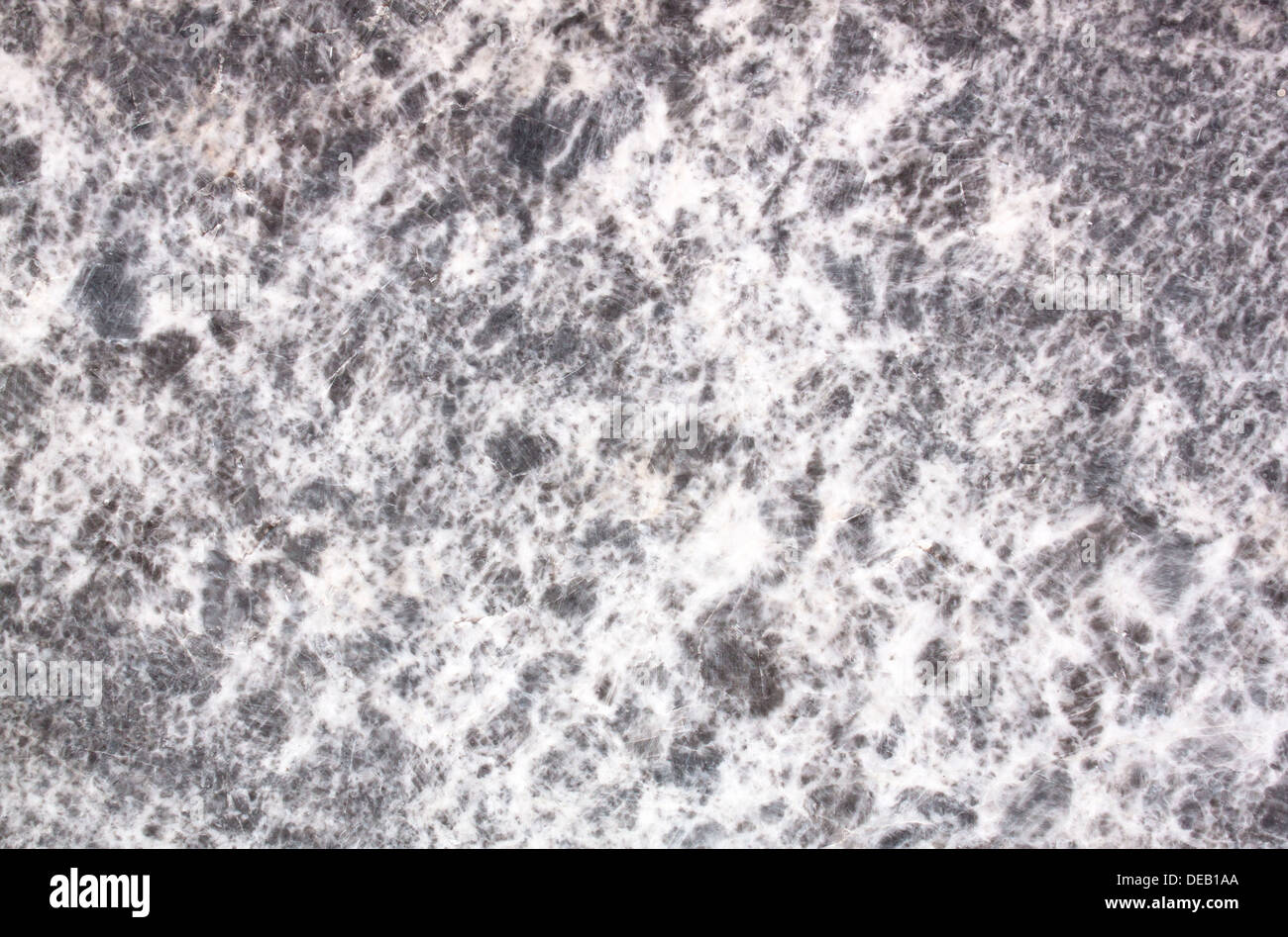 Surface of natural gray spotted stone as background Stock Photo - Alamy