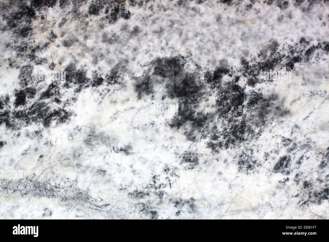 Surface of natural gray spotted stone as background Stock Photo - Alamy