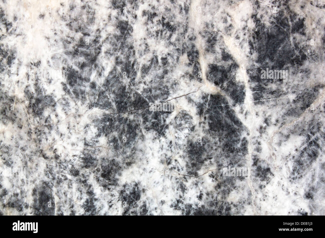 Surface of natural gray spotted stone as background Stock Photo - Alamy