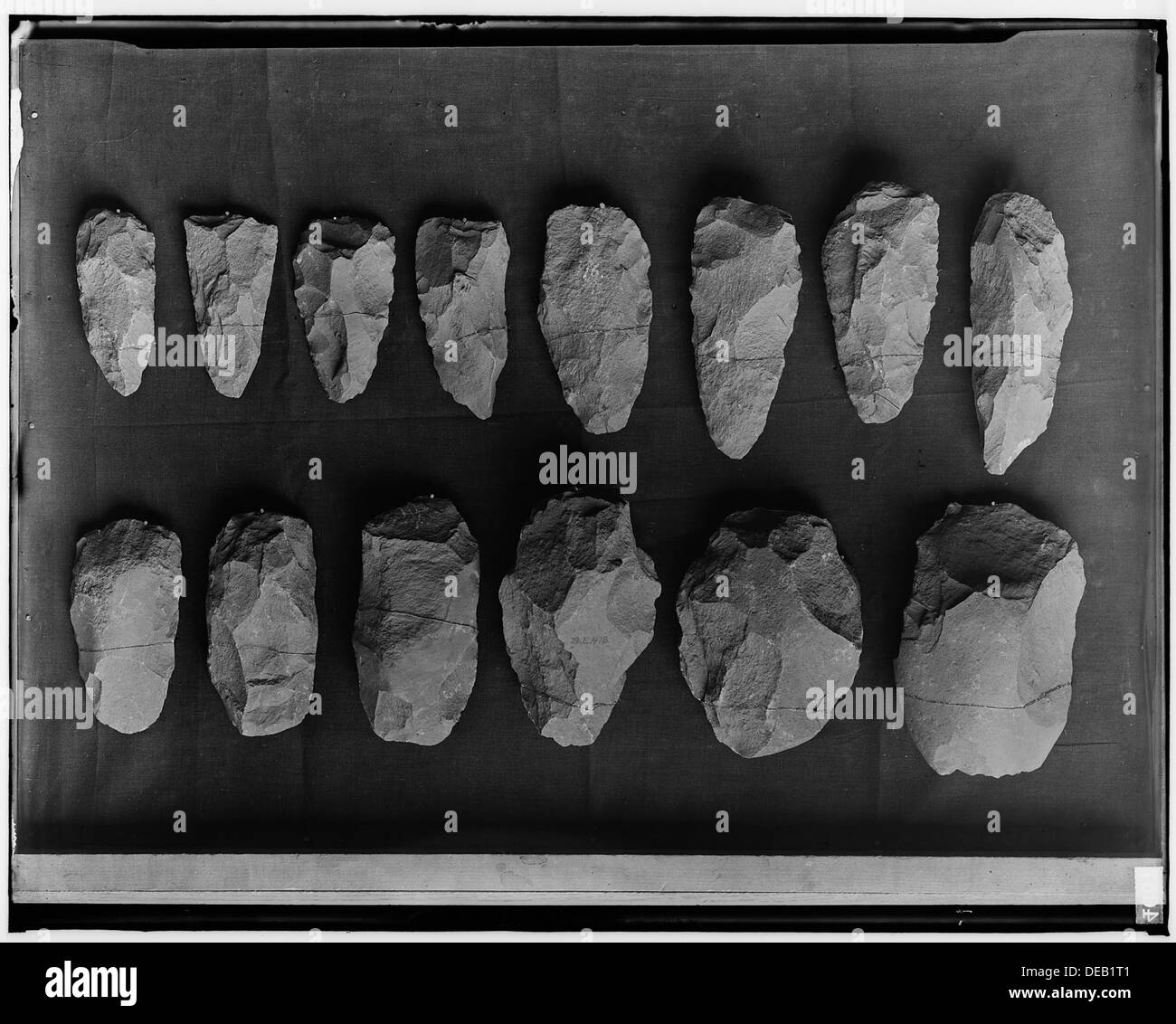 Umatilla stone implements, which are tools made from stone used by ...