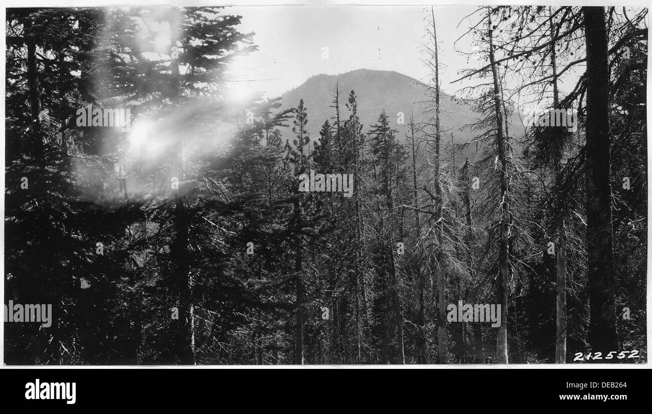 Looking south from site Black and White Stock Photos & Images - Alamy