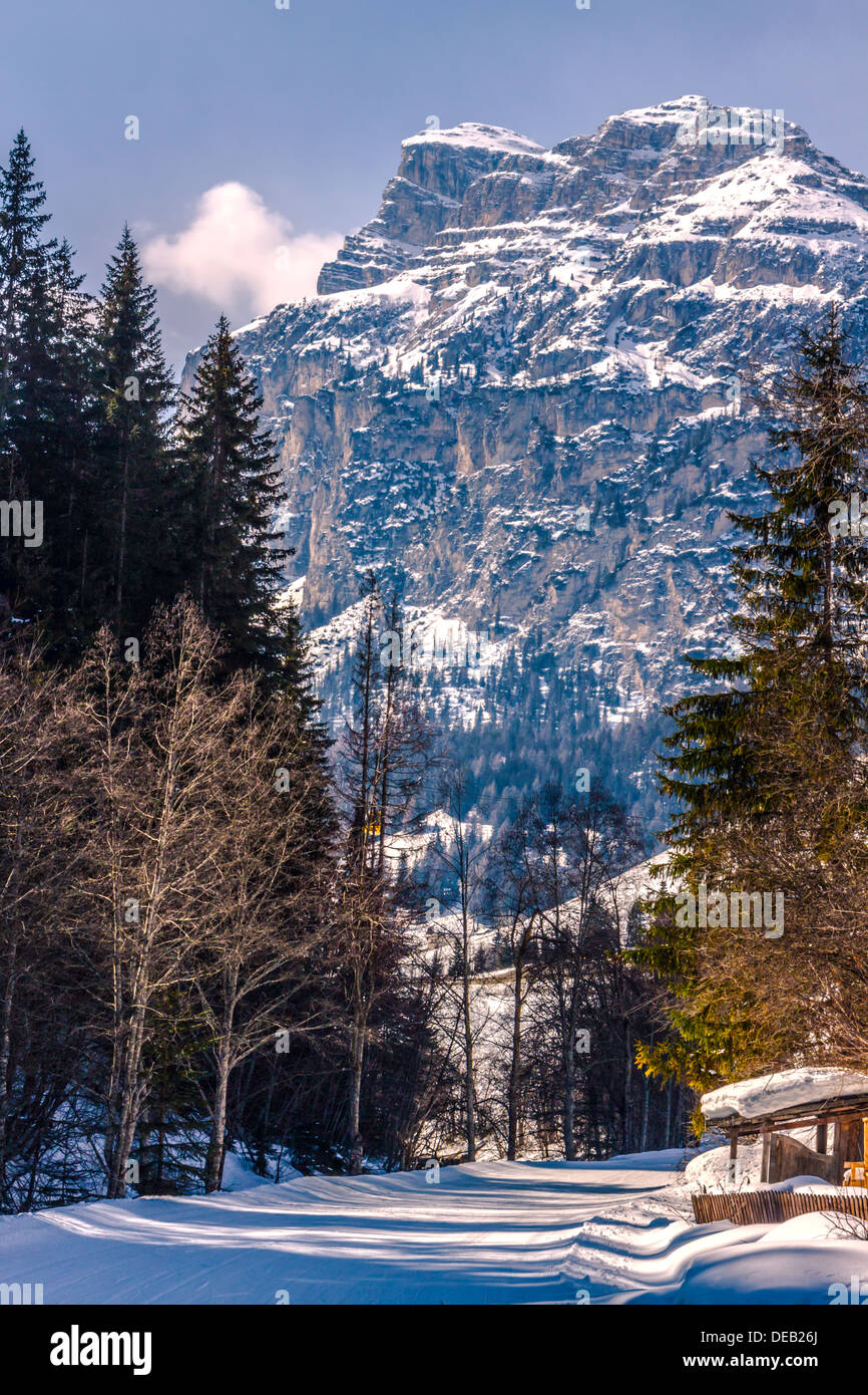 A gentle run back to the lifts at the foot of the Superski area in the ...