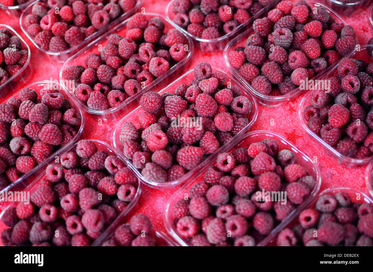 Raspberries in small boxes for sale at market Stock Photo - Alamy