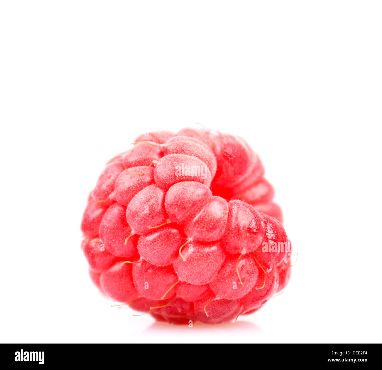 Raspberry extreme macro shot Stock Photo - Alamy