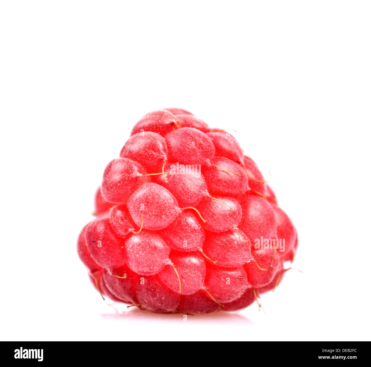 Raspberry isolated on white background macro shot Stock Photo - Alamy