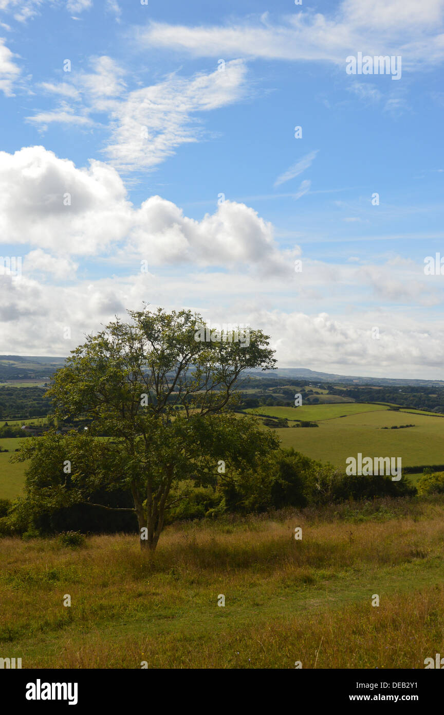 Brading Down Isle of Wight Stock Photo - Alamy