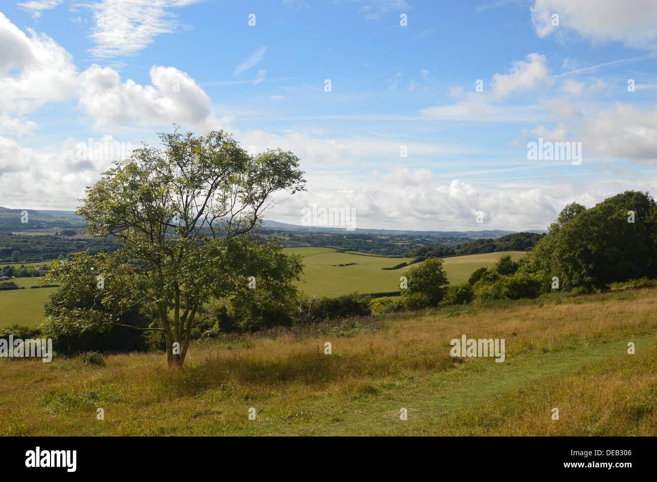 Brading hi-res stock photography and images - Alamy