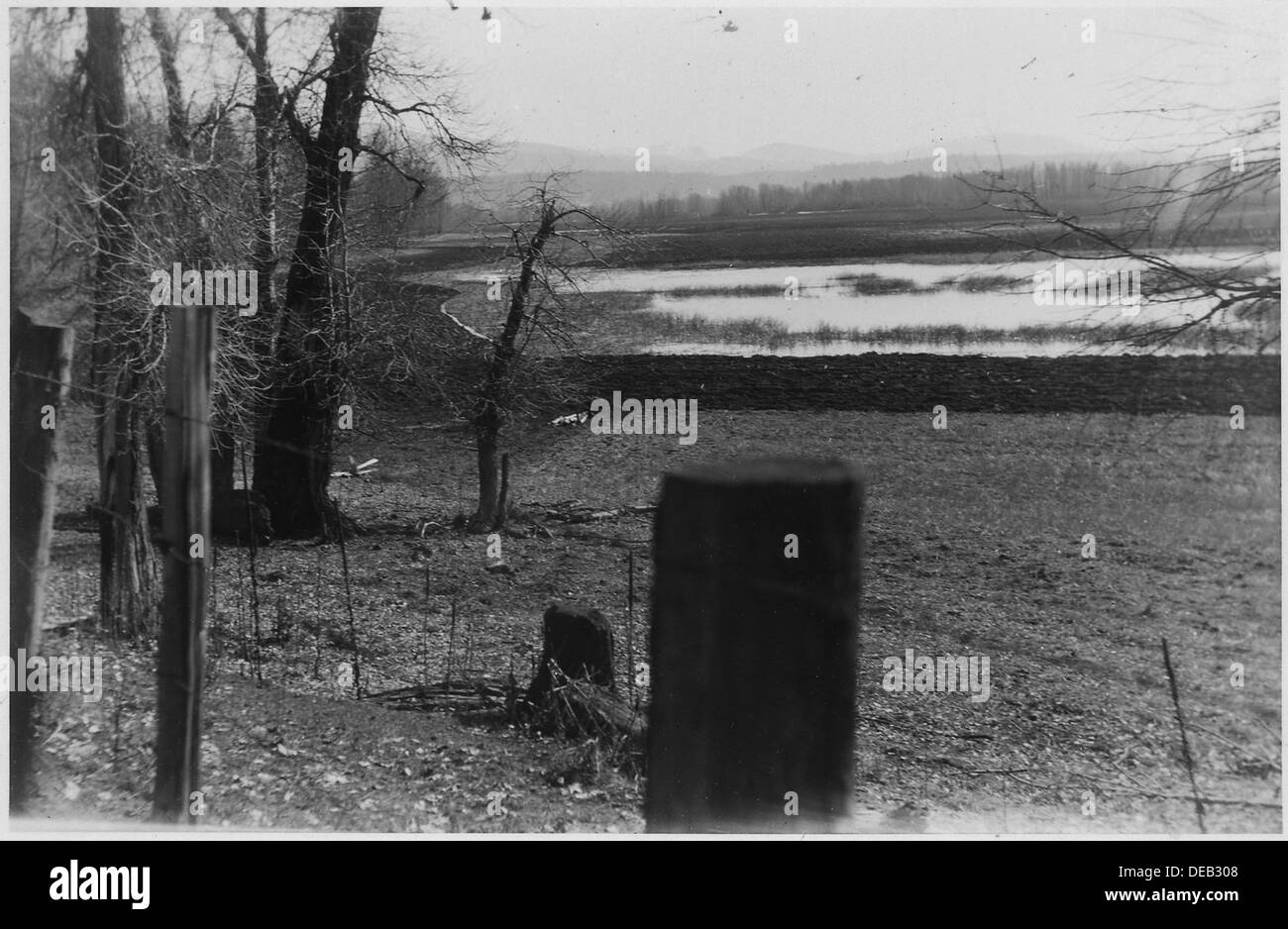 From water surface Black and White Stock Photos & Images - Alamy