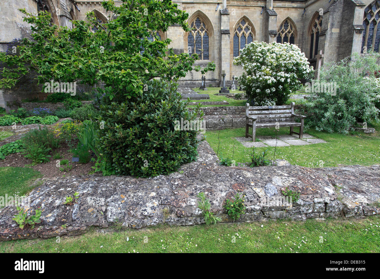 The Lady Chapel, Cathedral church of St Andrews in Wells, Wells City ...