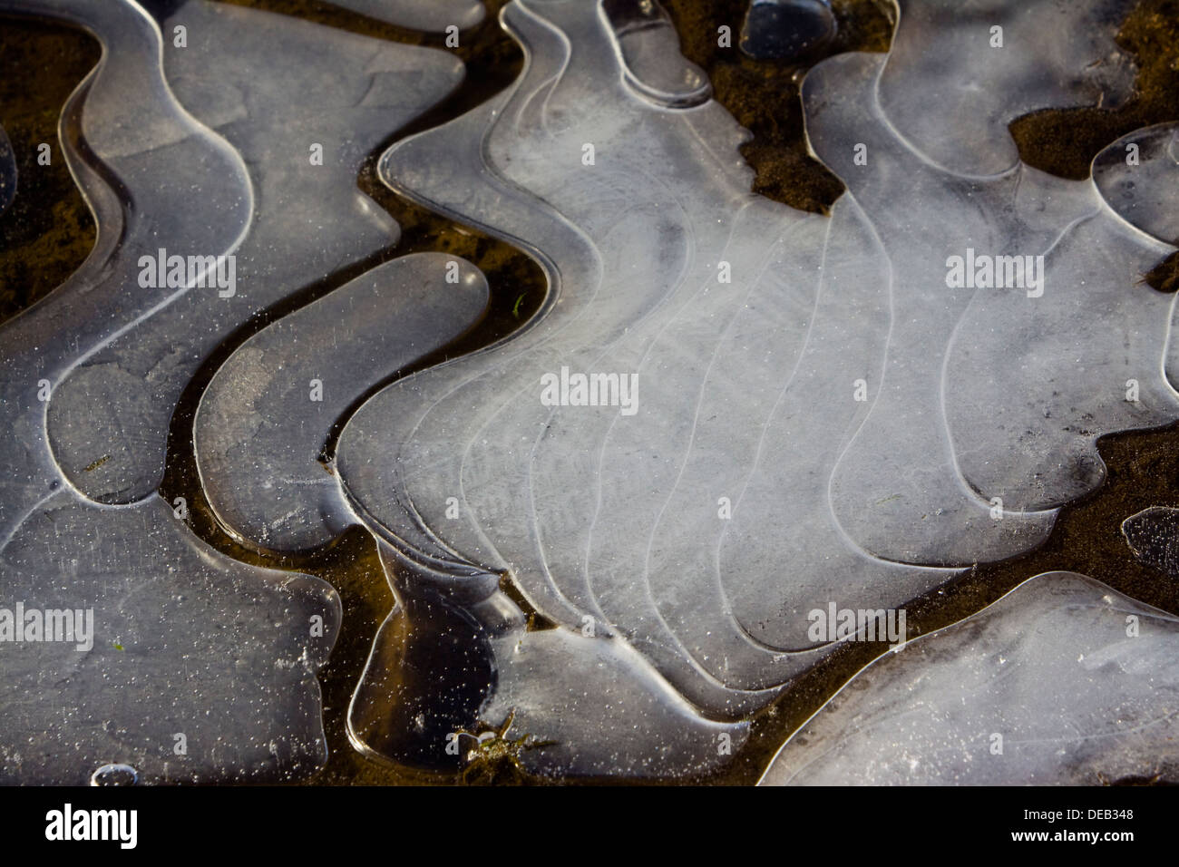 Puddle of icy hi-res stock photography and images - Alamy