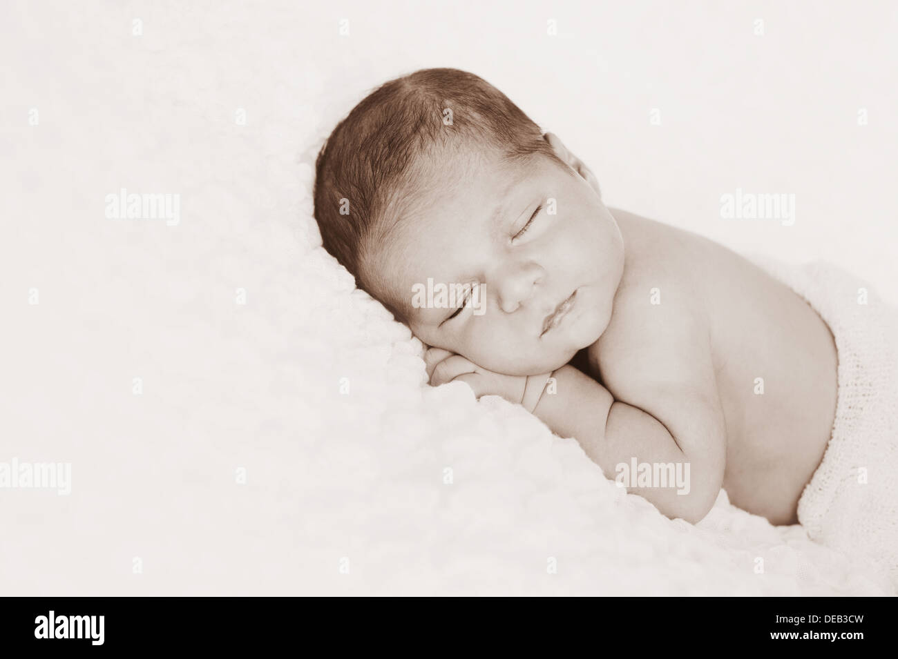 Sepia Toned Newborn Baby Boy Portrait Stock Photo - Alamy