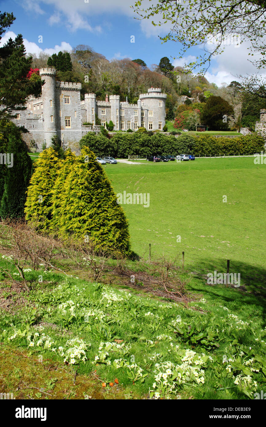 View of a Gothic castle with lawn in spring Stock Photo - Alamy