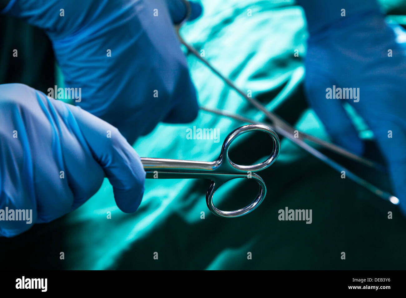 Close-up of gloved hands holding the surgical scissors and working ...