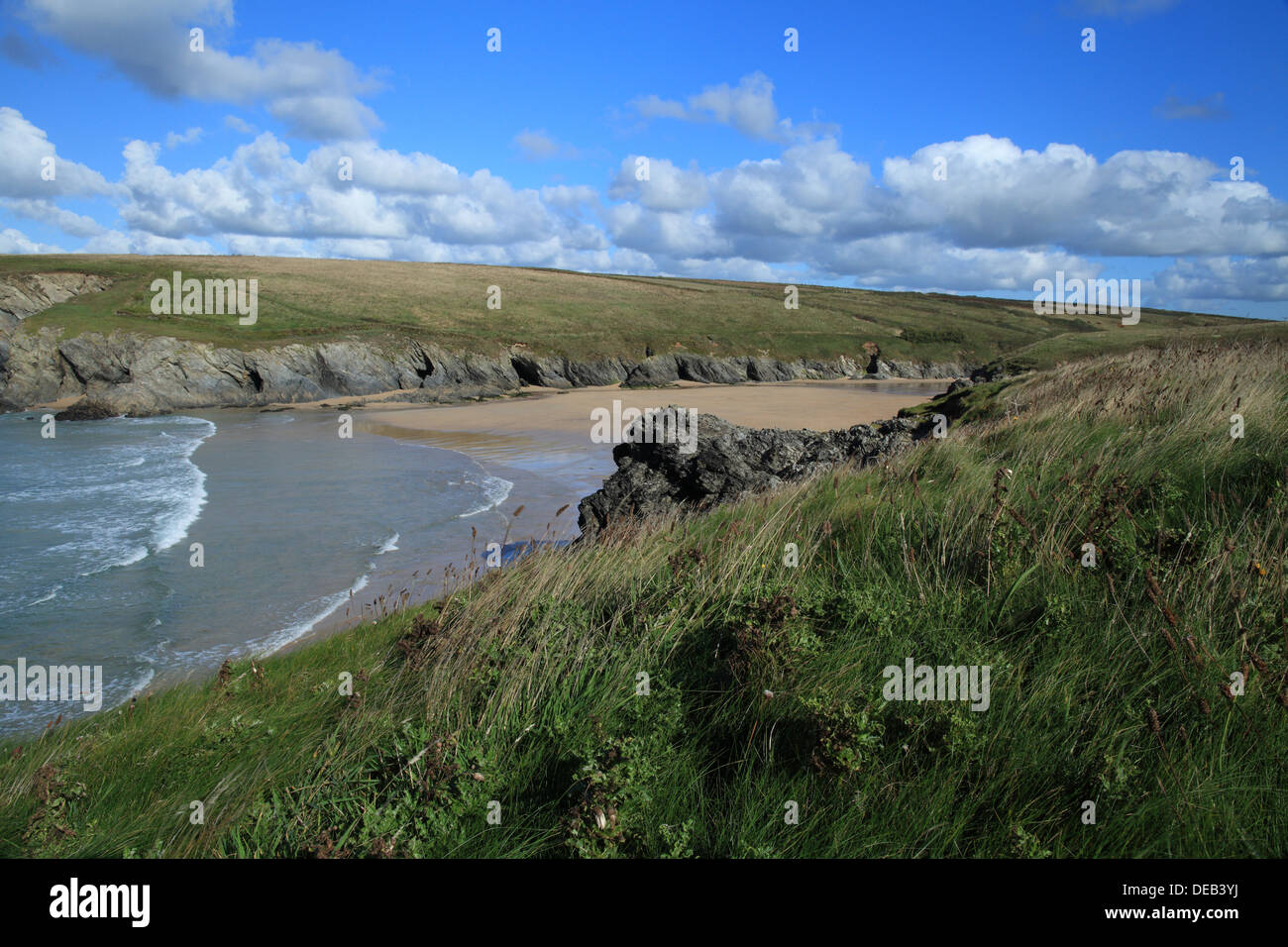 Polly joke north cornwall hi-res stock photography and images - Alamy