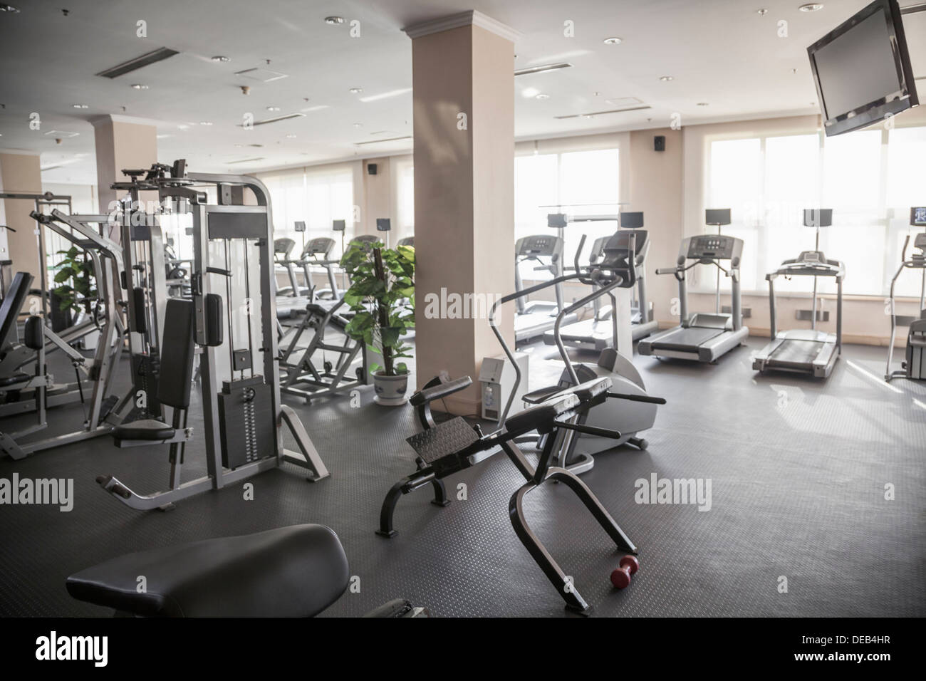 Large, bright gym with workout equipment Stock Photo - Alamy