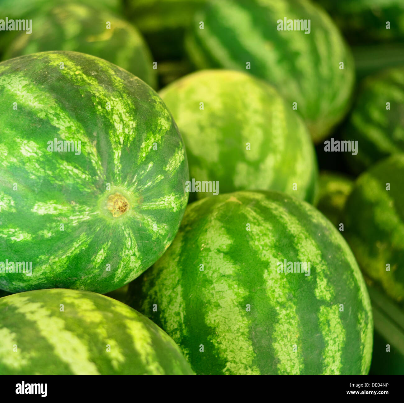 Watermelon cut open hi-res stock photography and images - Alamy