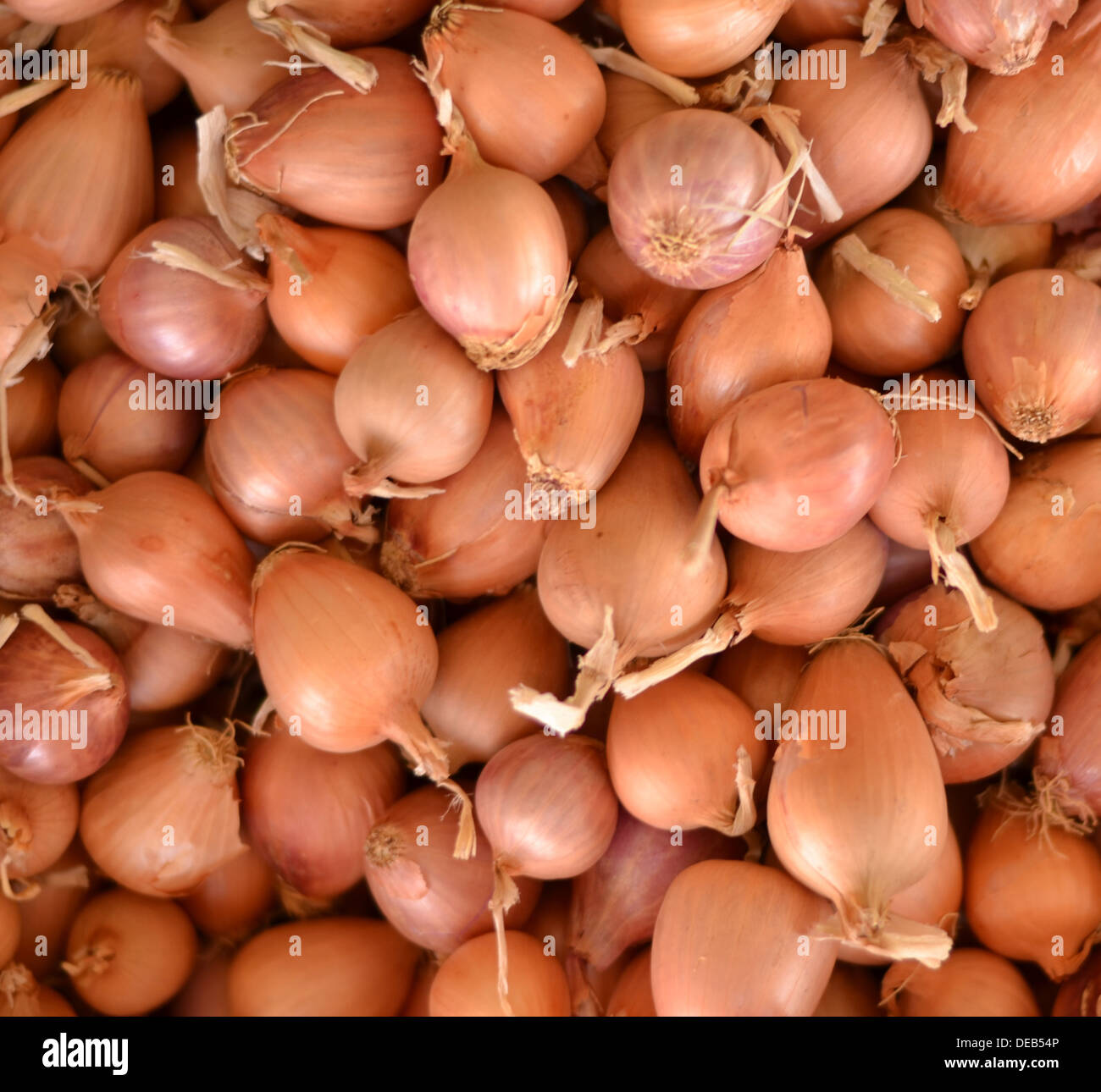 Strong onion odor hi-res stock photography and images - Alamy