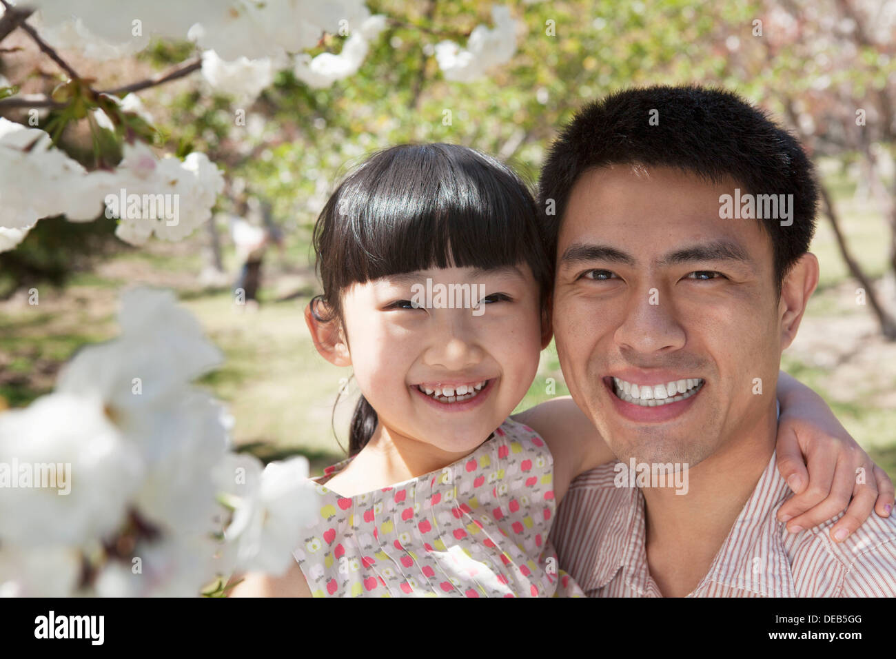 Smiling father and daughter enjoying the cherry blossoms on the tree in ...