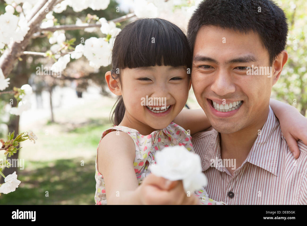 Smiling father and daughter enjoying the cherry blossoms on the tree in ...