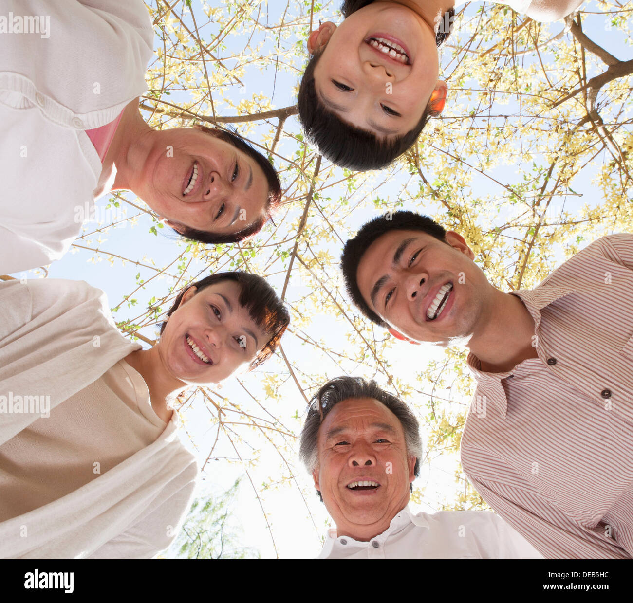 Happy smiling family in a circle looking down in a park in the ...