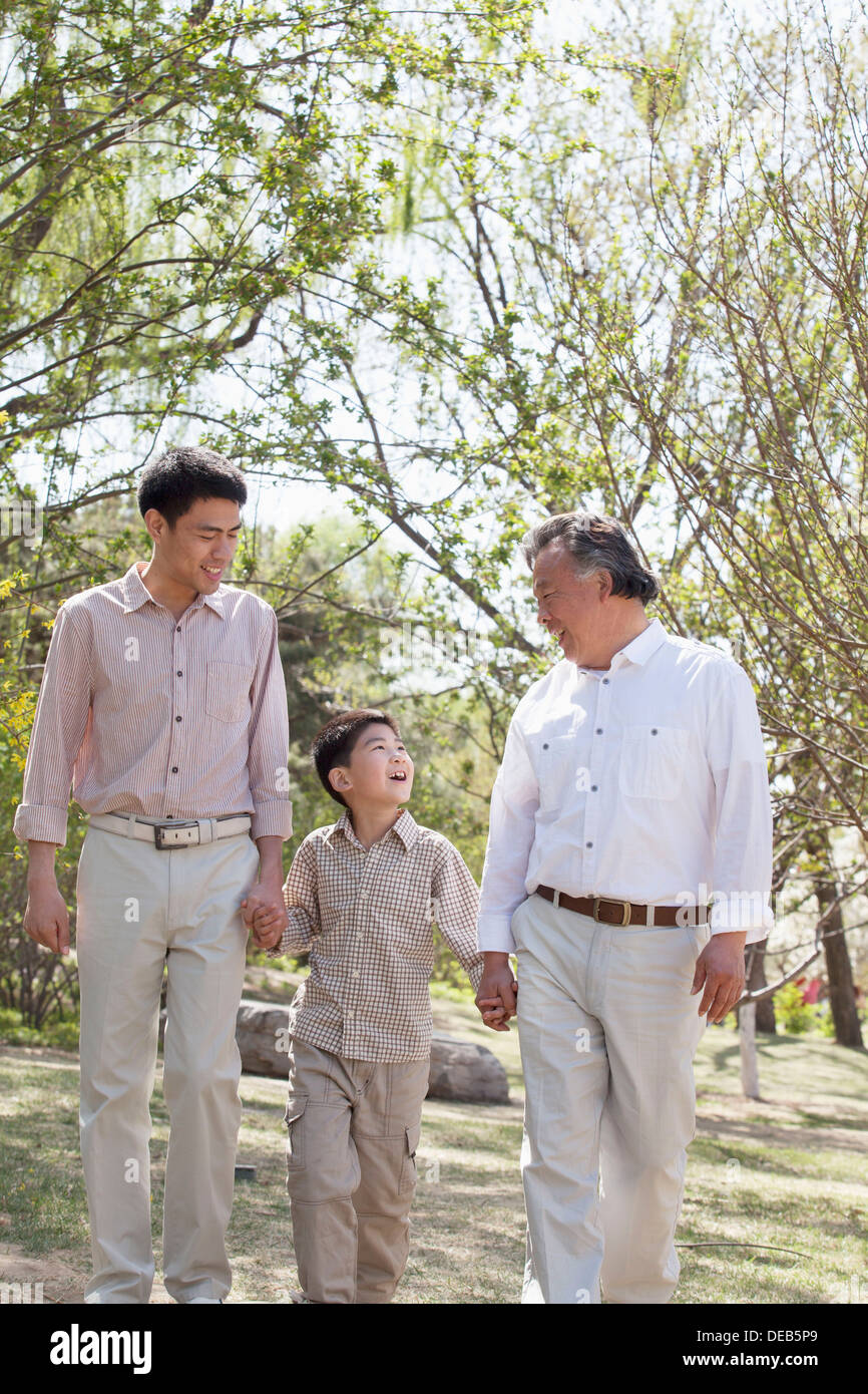 Multi-generational family, grandfather, father, and son holding hands ...