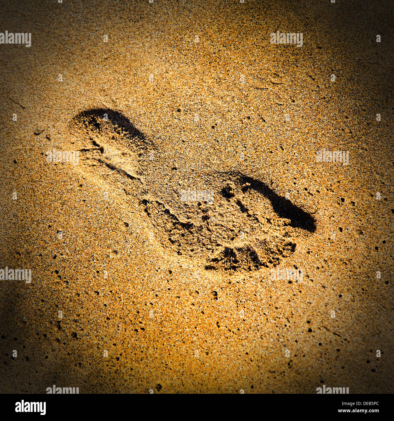 Idetification hi-res stock photography and images - Alamy