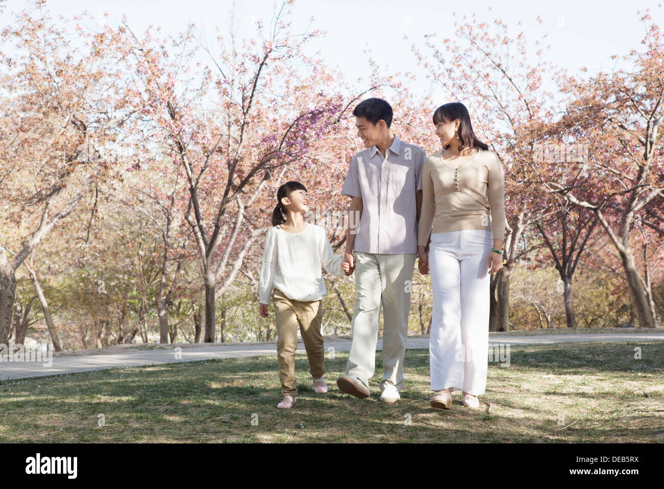 Happy family taking a walk amongst the cherry trees in a park in ...